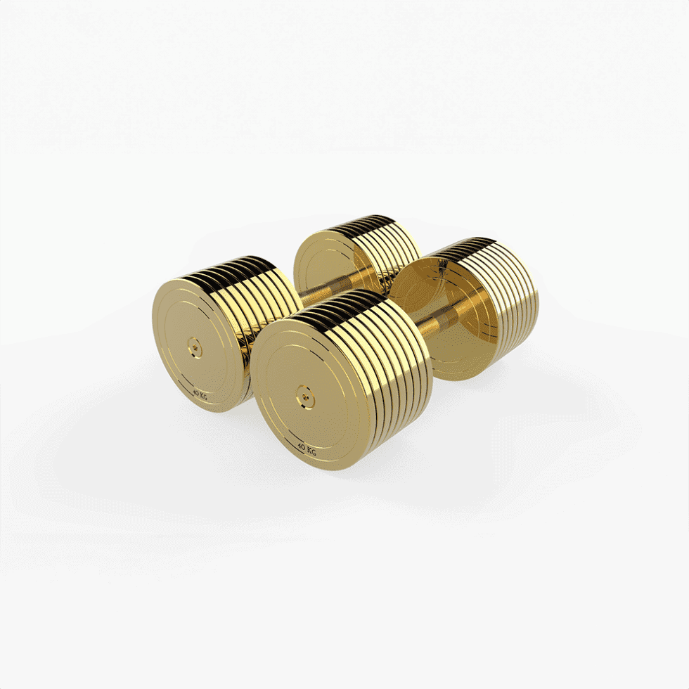 Luxury Dumbbells |Custom Weights | Custom Gym Equipment